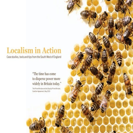 Localism in Action (Creating Excellence) | PDF | Civic affairs | Politics