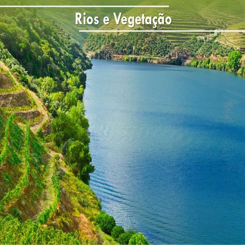 Principais Elevações de Portugal - Esquema Interativo.pdf