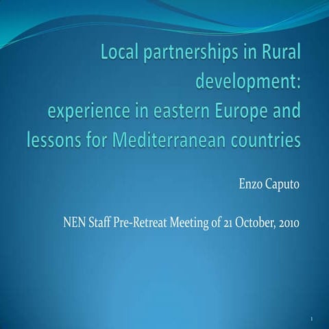 Local partnerships in Rural development eastern europe and the ...