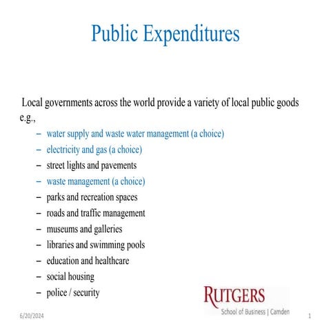 Local public finance: expenditure and revenue.pptx