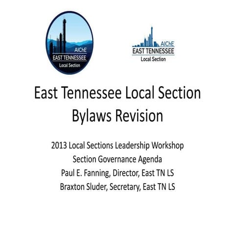 Local Section Bylaws Revisions | PPTX | Law