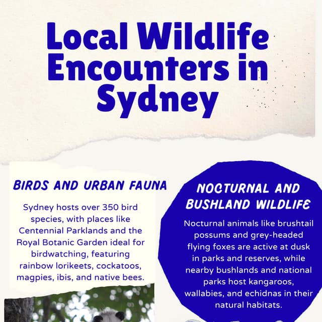 Local Wildlife Encounters in Sydney | PDF