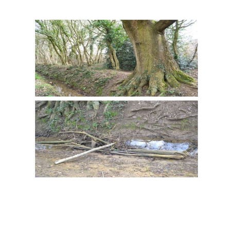 Location shots | DOCX