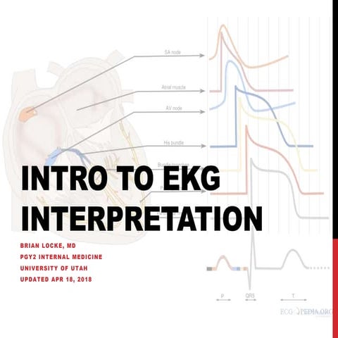 Locke intro ekg | PPTX