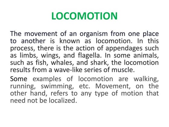 20.Locomotion and Movement | PPTX
