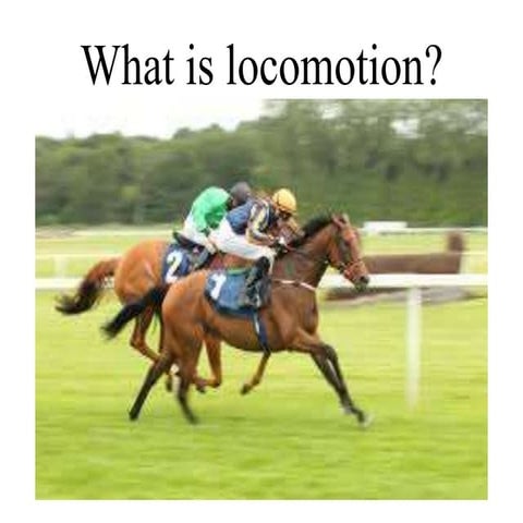 Locomotion definition and importance for organisms | PPT