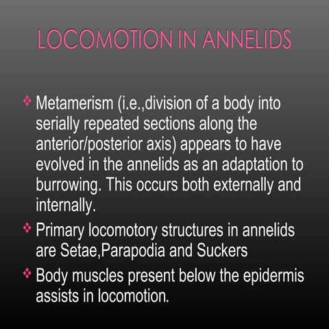 Locomotion in annelids | PPT