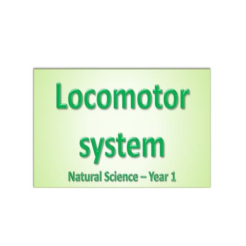 Locomotor system | PPT