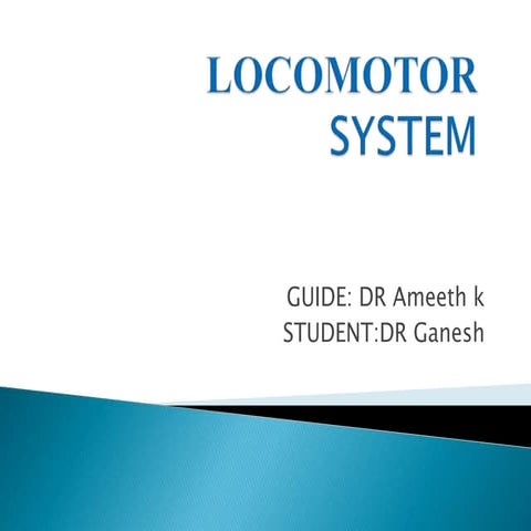 Locomotor system - Videos and Explanation | PPTX