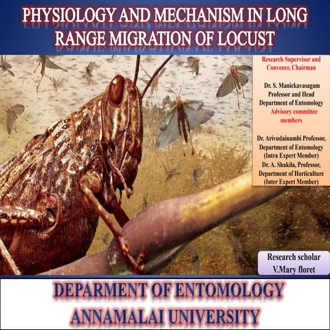 Locust migration j | PPTX