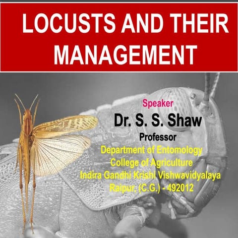 Locust presentation | PPTX