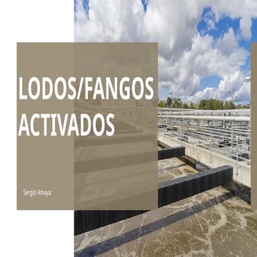 Manejo De Lodos | PPT