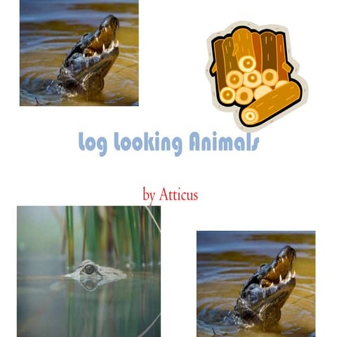 Log looking animals | PPT