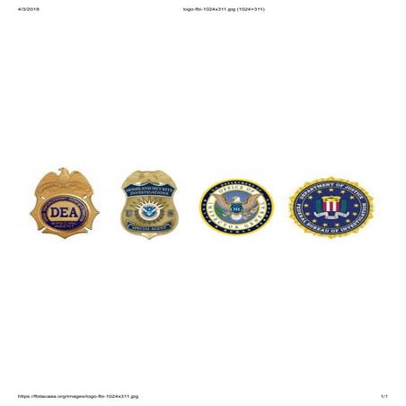 Logo fbi FBI | PDF