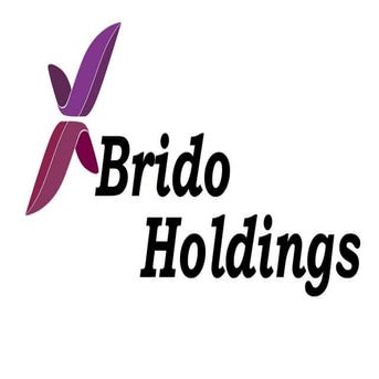 Brido holdings Ltd | PDF