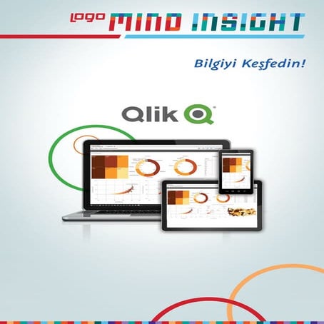 Logo Mind Insight - Qlik Sense | PDF