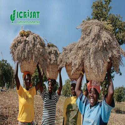 ICRISAT | PDF