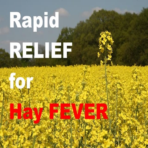 Fast Relief for Hay Fever with Logosynthesis | PPS