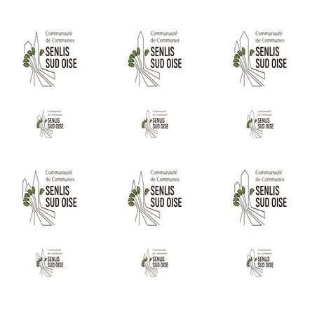 Logotype ccso 1 | PDF