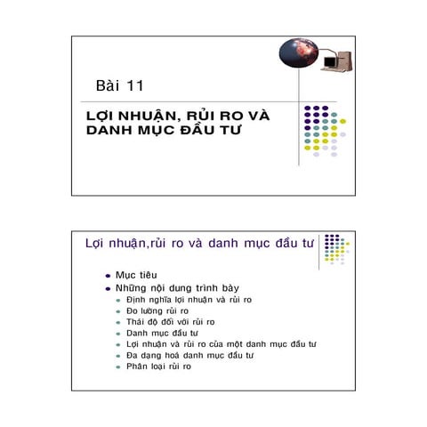 Loi nhuan, rui ro va danh muc dau tu, lợi nhuận, rủi ro và danh mục đầu tư | PDF