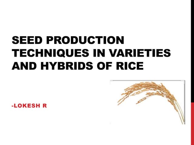 Principles of hybrid seed production | PPTX