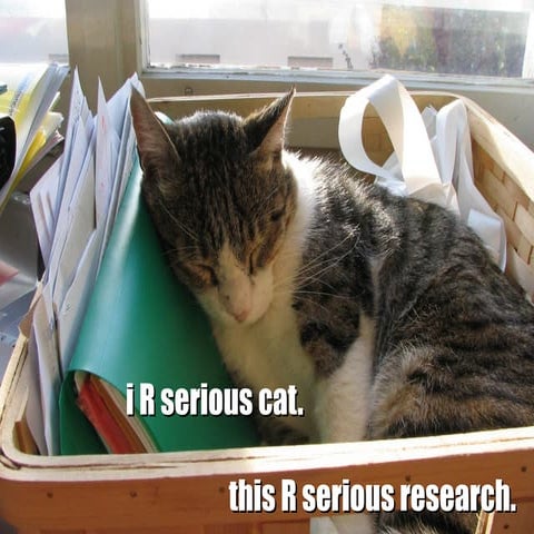Lolcats | PDF