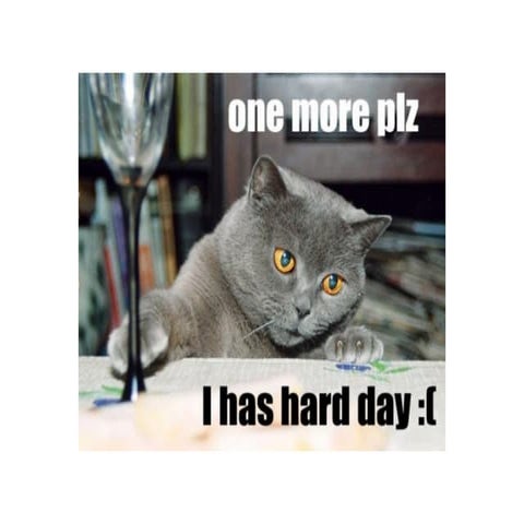 Lolcatz 2 minute break 1 | PPT