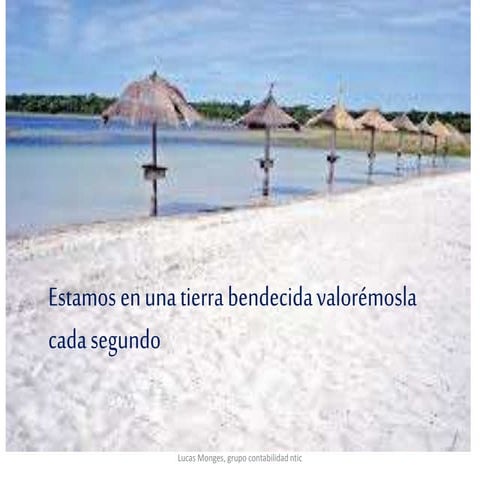 Homology and Analogy webquest | DOC