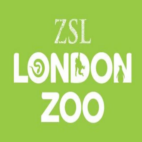 London Zoo | PPTX | Zoos & Aquariums | Attractions