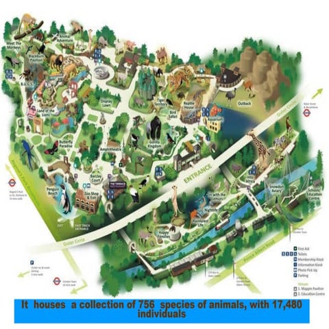 London zoo | PPT