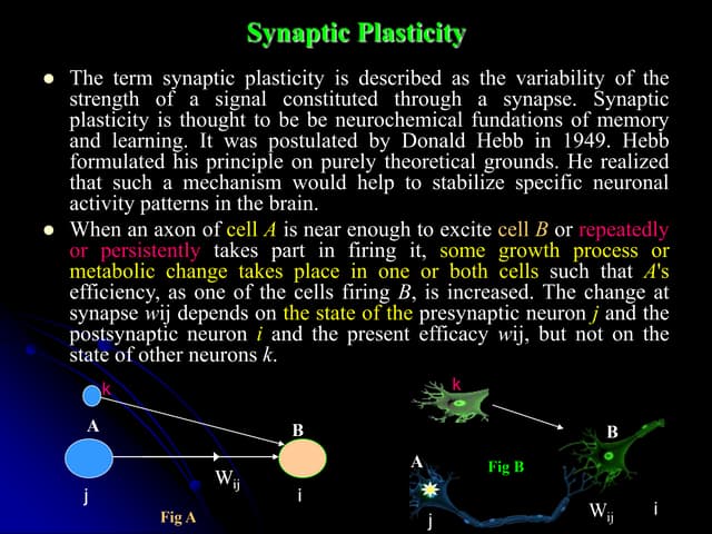 Ch 19 synaptic_plasticity | PPTX