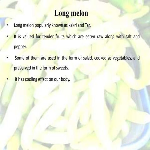 Long melon production technology | PPTX