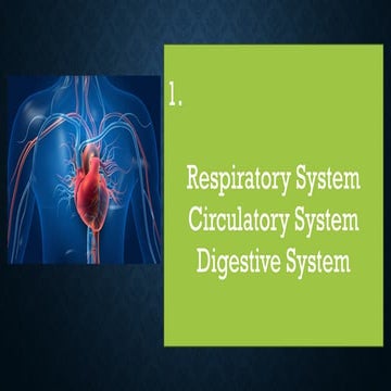 long quiz on respiratory and circulatorypptx | PPTX