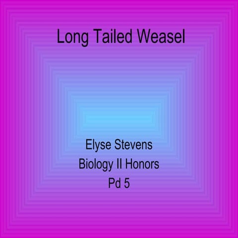 Elyse Stevens pd 5 good | PPT