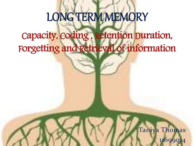Long Term Memory Testing long-term-memory-testing