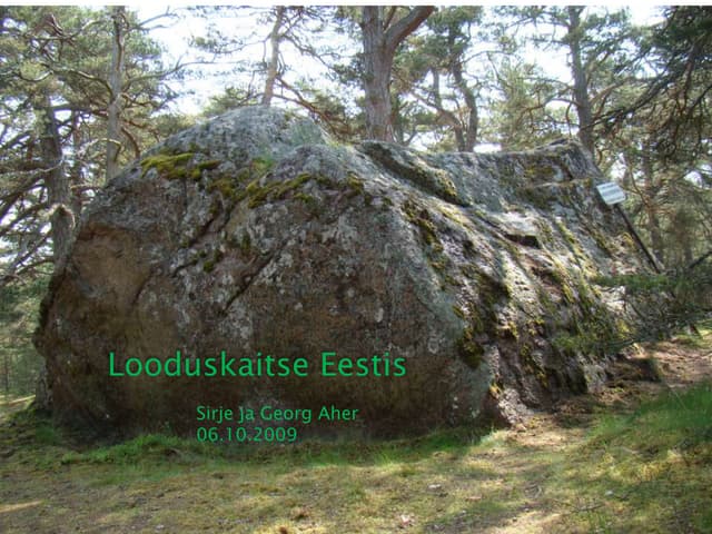 Eesti maavarad | PPT