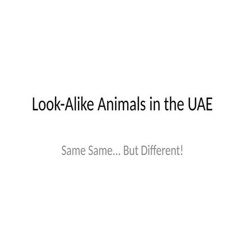Look-Alike_Animals_UAE identity teaching animals.pptx