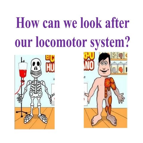 Look after our locomotor system. | PPT