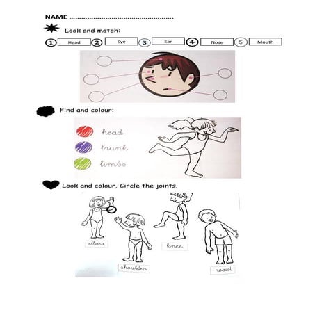 Look and match body - 1st primary | PDF