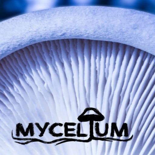 Look Book.pdf | Biological Sciences | Science