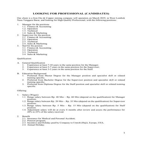 PIE Program Brochure Final | PDF