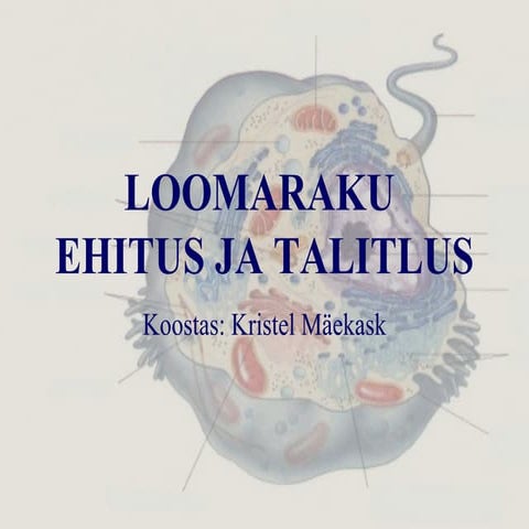 Loomarakk | PPT