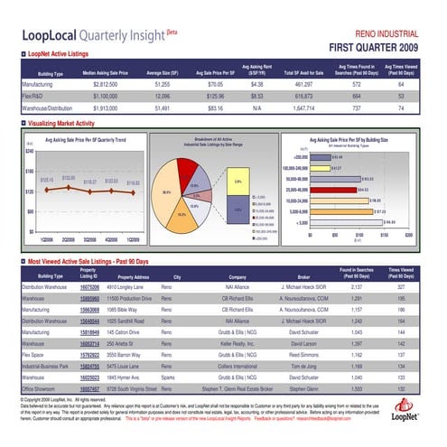 Loopnet Local Quarterly Insight Report Q1, 2009 | PPT