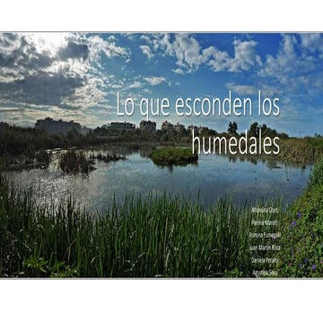 Lo que esconden los humedales fichas revisadas | PPTX