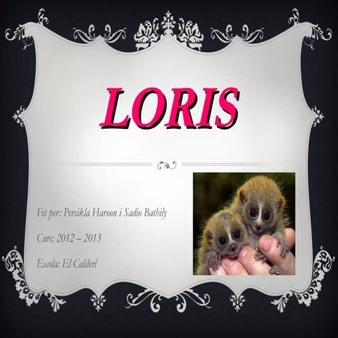 Loris | PPT