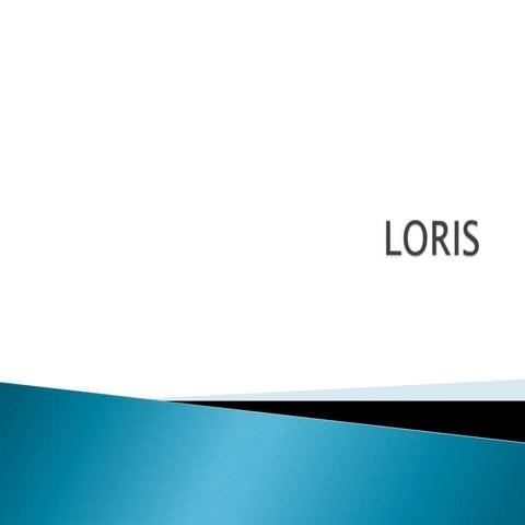 Loris and adaptations of aquatic mammals | PPTX