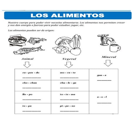 Alimentos De Origen Animal Para Colorear Dibujos Kawaii Para