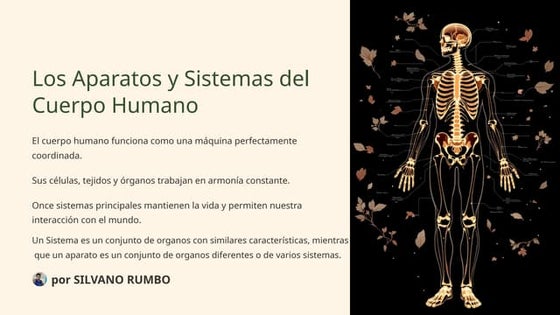 Los sistemas del cuerpo humano | PDF | Lung and Respiratory Health ...