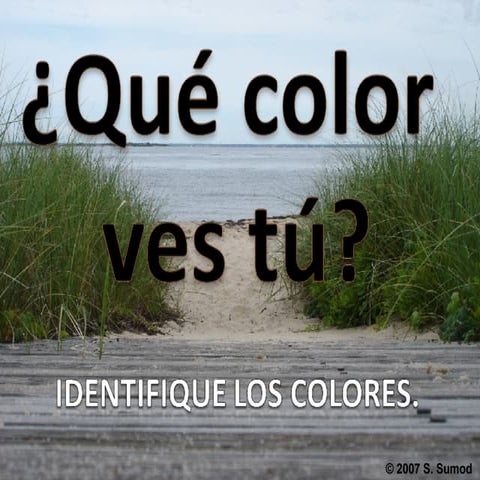 Los colores | PPT