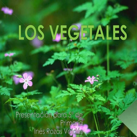 Los Vegetales | PPT